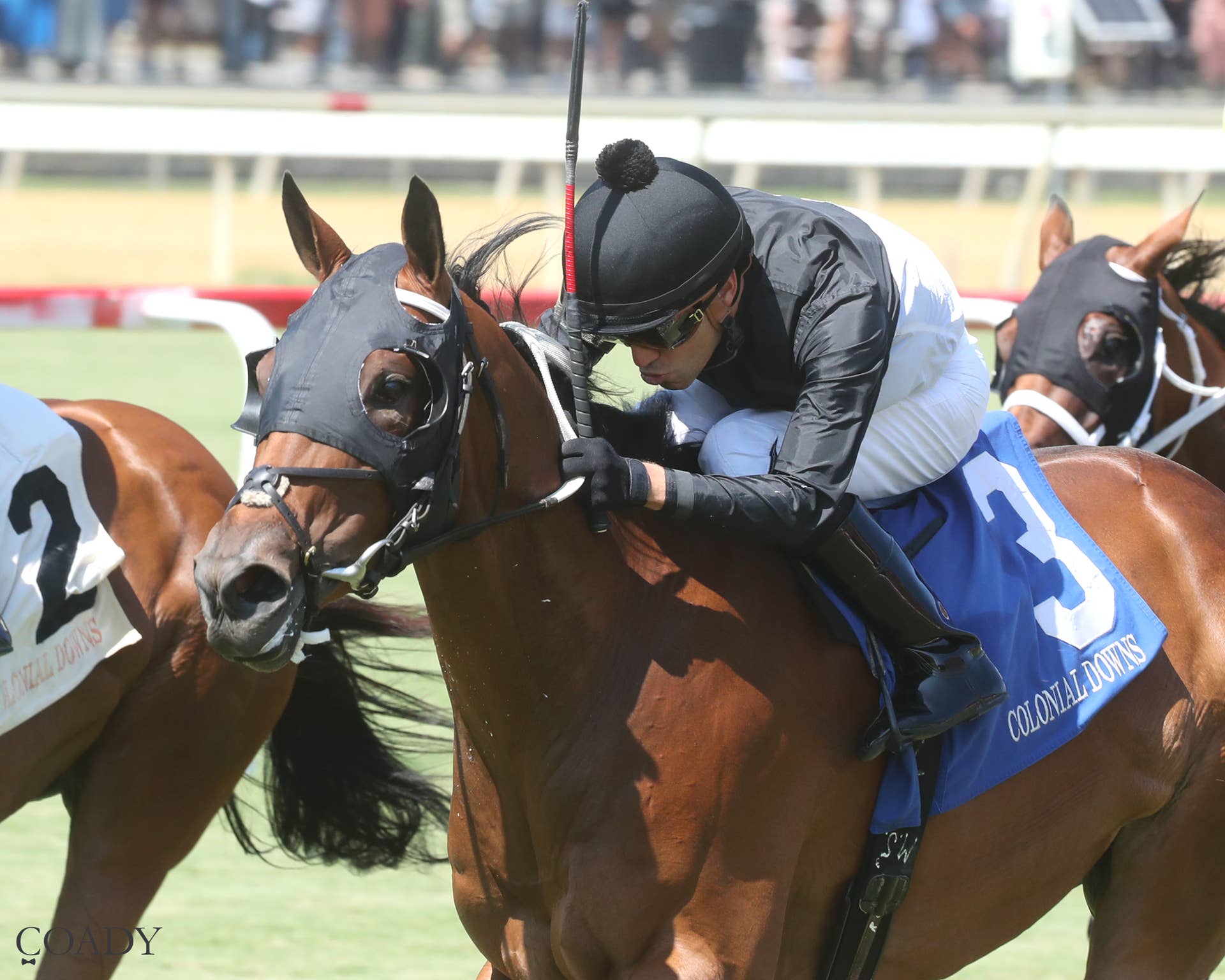 Witty, Hollywood Walk Score Stakes Victories At Colonial Downs ...