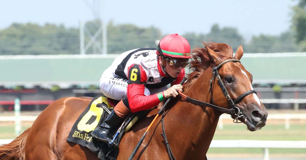 Comport Favored In Iroquois Off ‘Big Race’ At Ellis Park - Paulick ...