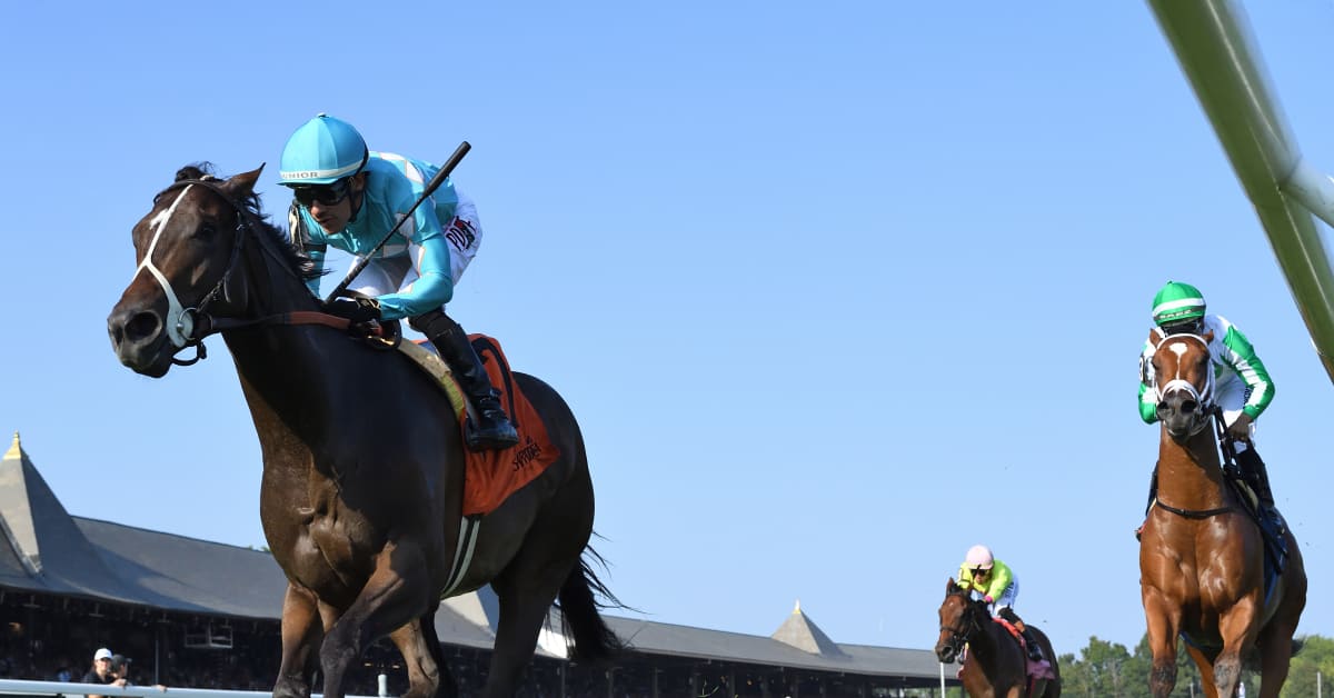 Making his first turf start and stakes appearance, the Daredevil colt ...