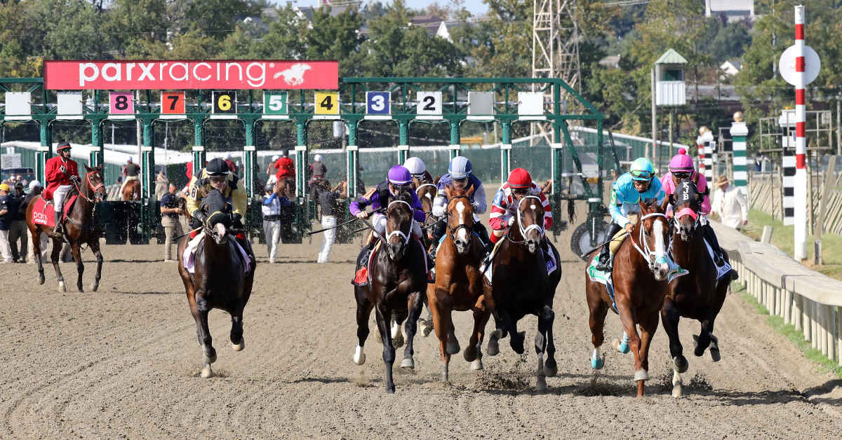 Electrical Device, Loaded Syringes Found During Vehicle Searches At ...