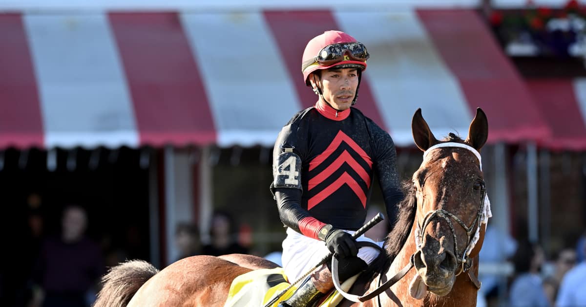 'He's A Great Big Horse': Graded-Placed Iron Dome Looms Large In Empire Classic - Paulick Report ...