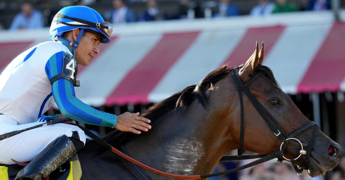 Book'em Danno To Gear Up For 2026 Campaign At Tampa Bay Downs - Paulick ...