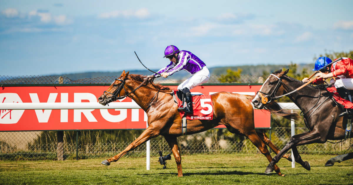 Juveniles Precise, Blackout Time, Military Code Scratch Morning Of Breeders' Cup Races - Paulick ...