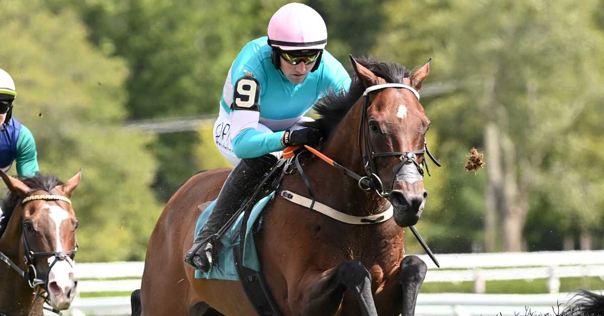 Jimmy P Repeats In The Jonathan Sheppard - Paulick Report | Latest news ...