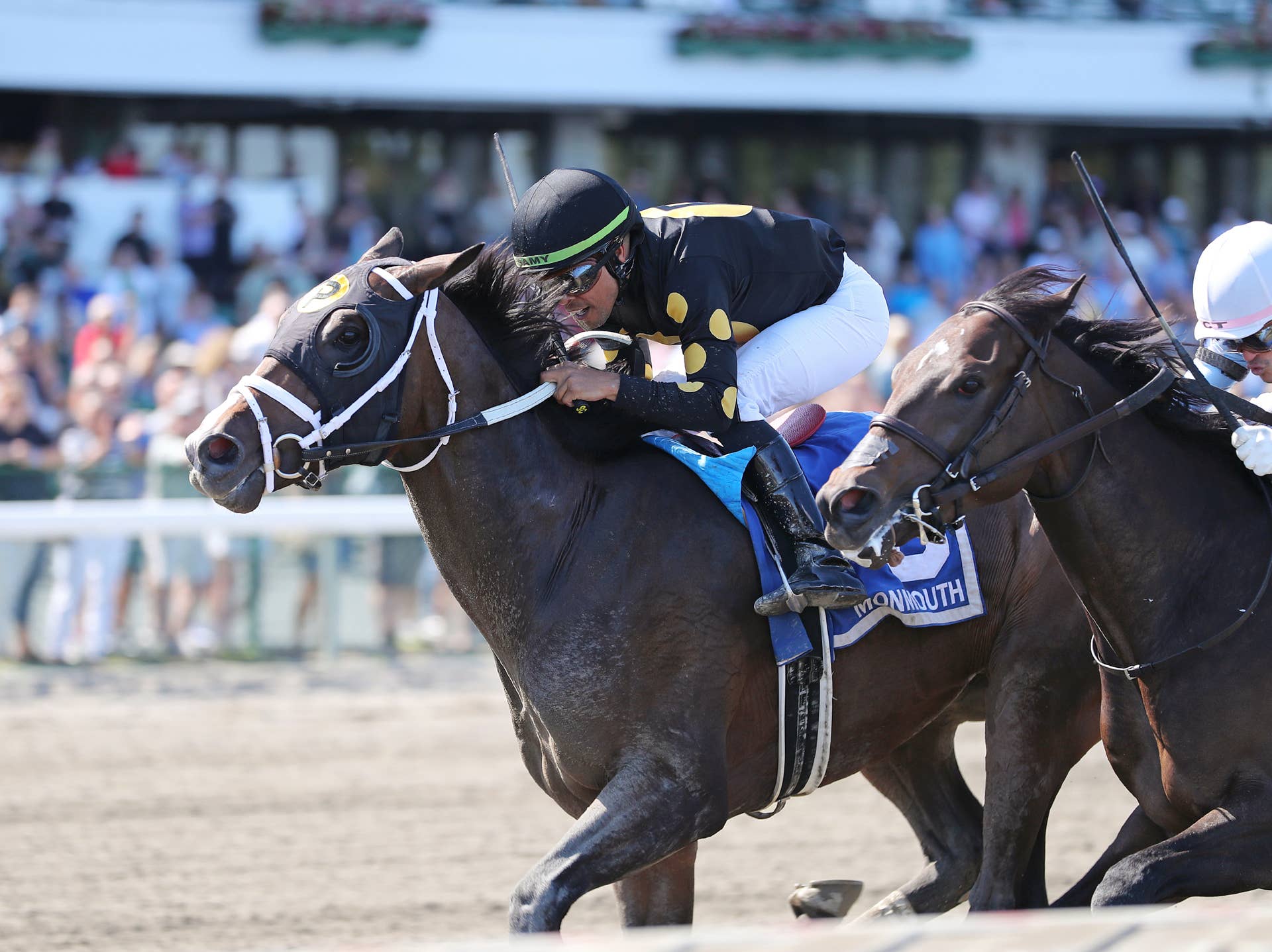 One More Freud Takes Sapling, Breath Away Wins Violet In Monmouth ...