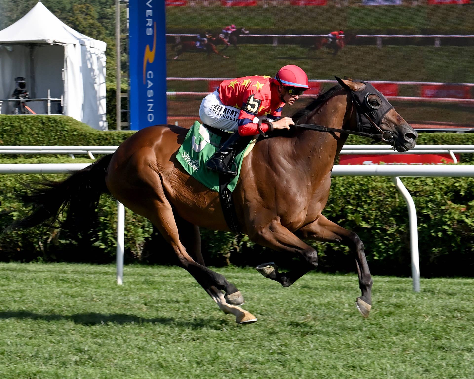 ‘They’re My Babies’: Breeder Roger Cimbora Chases First Graded Stakes ...