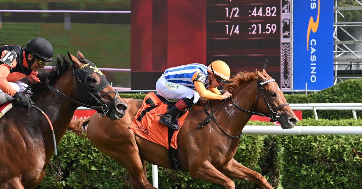 Tom Morley Considering Pair Of Breeders' Cup Qualifiers For Debut ...