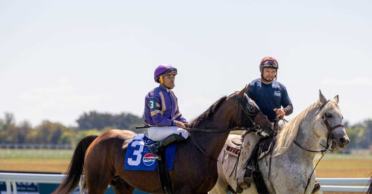 'He Showed An Affinity For The Track': Tawny Port Wheels Back For ...