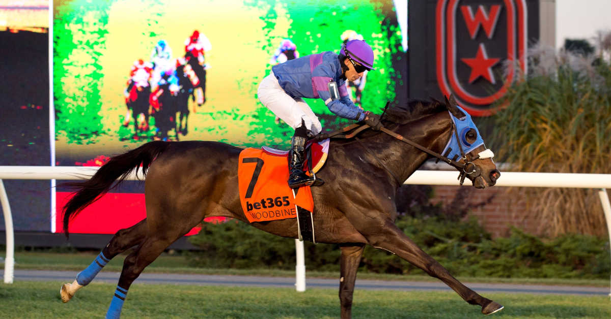 ‘He’s Doing Great’: Gail Cox’s Dancin In Da’nile Flows Into Grade 3 ...