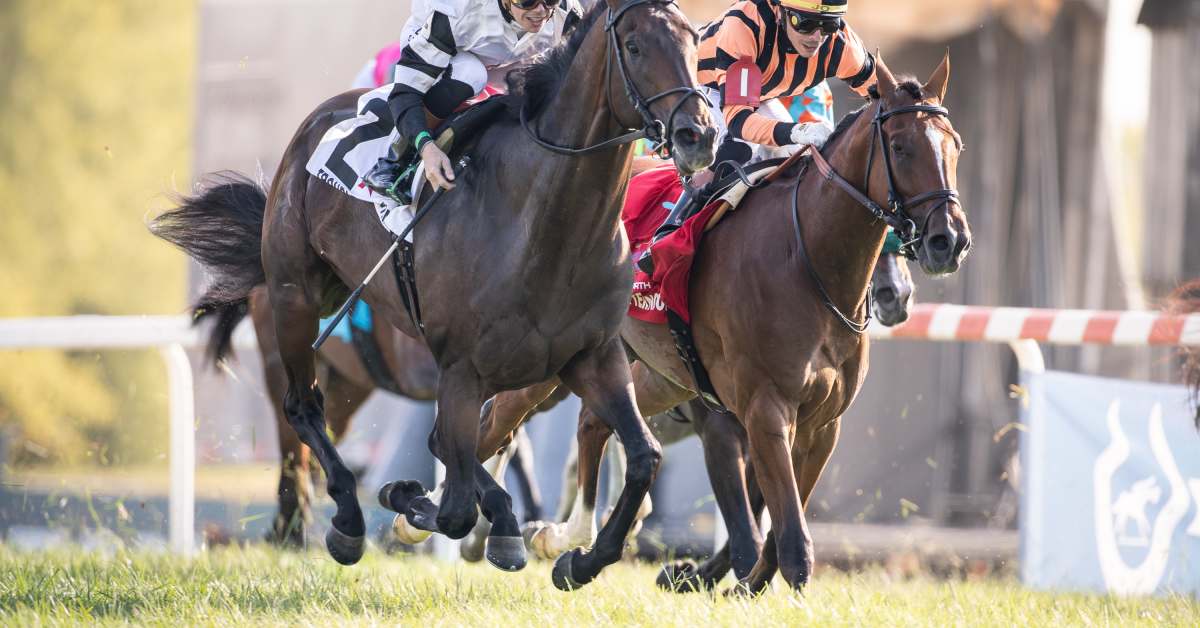 Grade 1 Winner Troubleshooting, King's Plate Victor Mansetti Among 11 ...