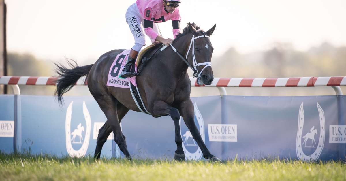 Former Claimer Ole Crazy Bone Takes 'Win & You're In' Kentucky Turf Cup ...