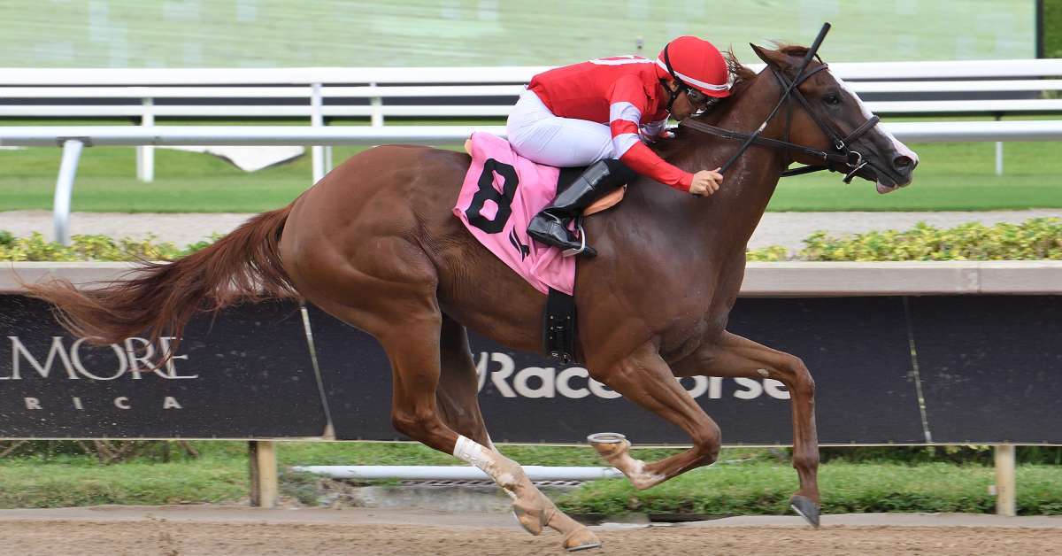 Front-Running Fourth And Central Takes FSS Dr. Fager - Paulick Report ...