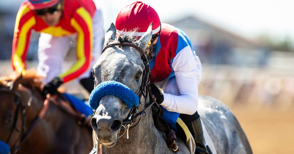 Brant Scores Front-Running Del Mar Futurity Win - Paulick Report ...