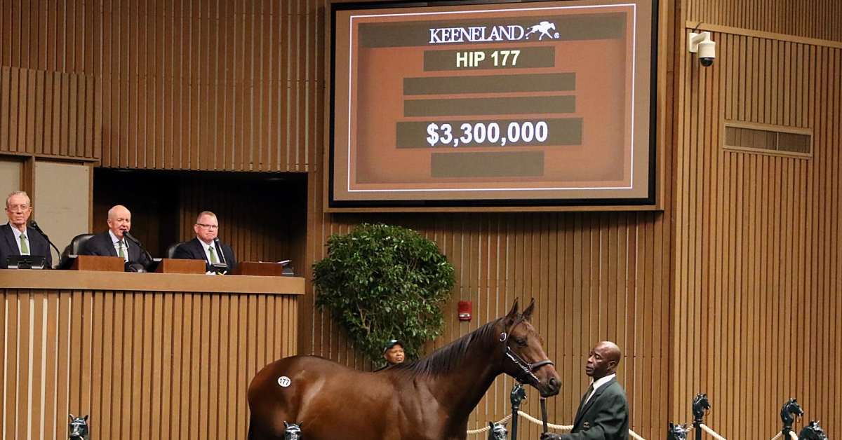 $3.3-Million Gun Runner Colt Tops Record-Setting Opening Session Of ...