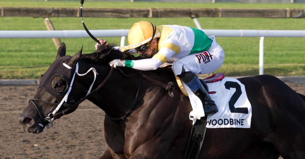 Front-Running Simcoe Strikes In Vigil For Second Straight Graded Win ...