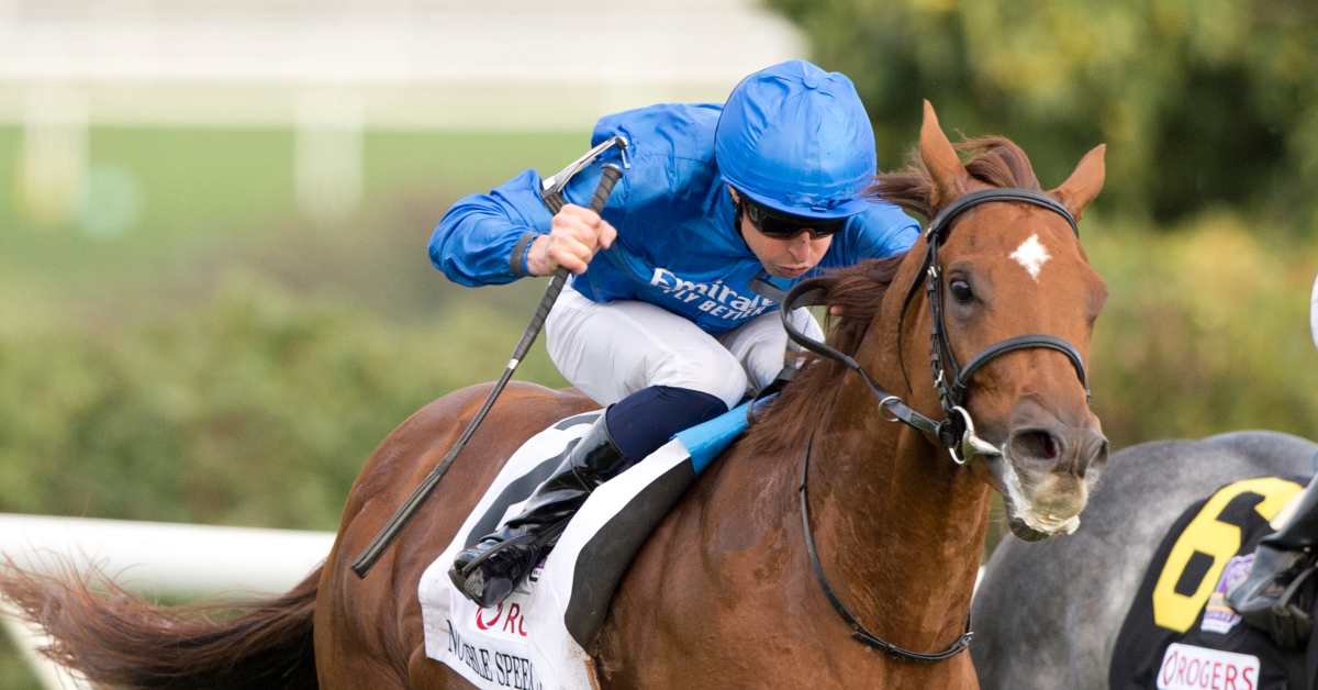 Woodbine’s Turf Champions Day Generates $13,026,804 In All-Sources ...