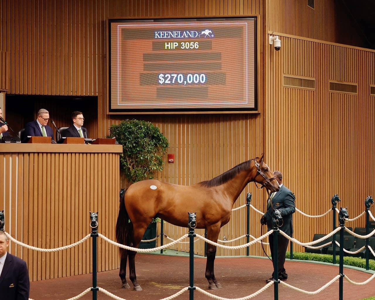 Keeneland September Sale Nears $500-Million Mark After Ninth Session ...