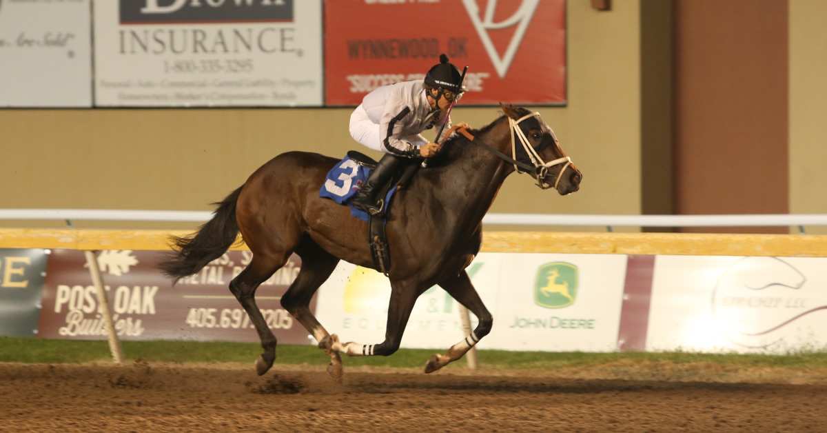 'He Has So Much Heart': Gelding Mauled By Bobcat As Foal Breaks Maiden ...