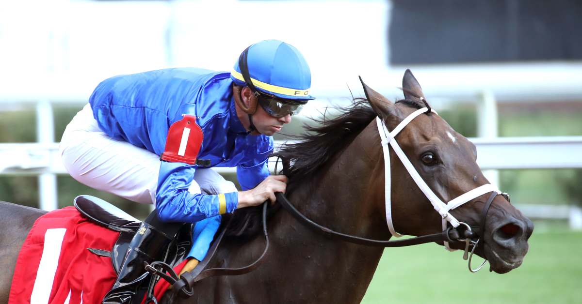 Immersive, Good Cheer Remain In Training For 2026 - Paulick Report ...