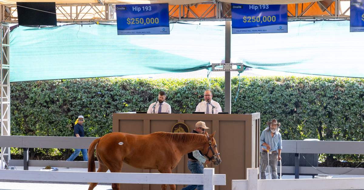 Corniche Filly Tops 2025 Fasig-Tipton California Fall Yearlings Sale ...