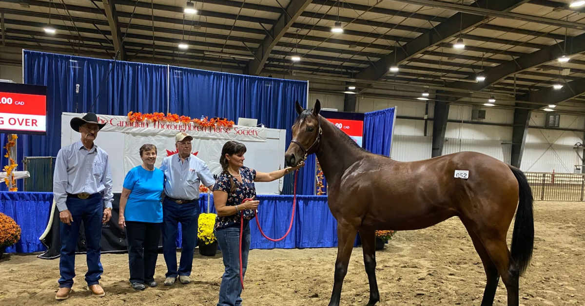 'Strong Competition From Start To Finish': CTHS Alberta Thoroughbred ...