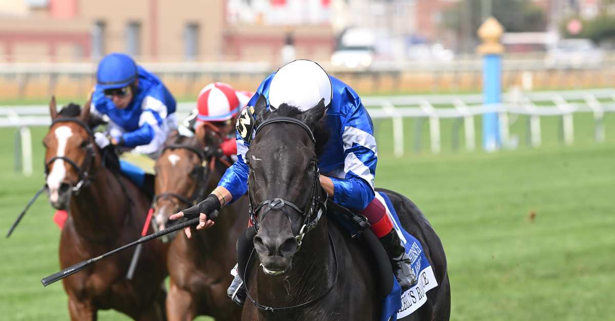 Rebel's Romance Sets Up Third Breeders' Cup Turf Bid With Joe Hirsch ...