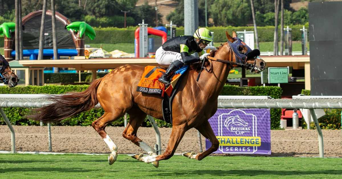Gold Phoenix Wins John Henry Turf Championship In Fourth Attempt ...