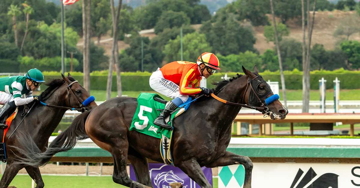 Bloodlines Presented By Walmac Farm: Nevada Beach And The Spendthrift ...