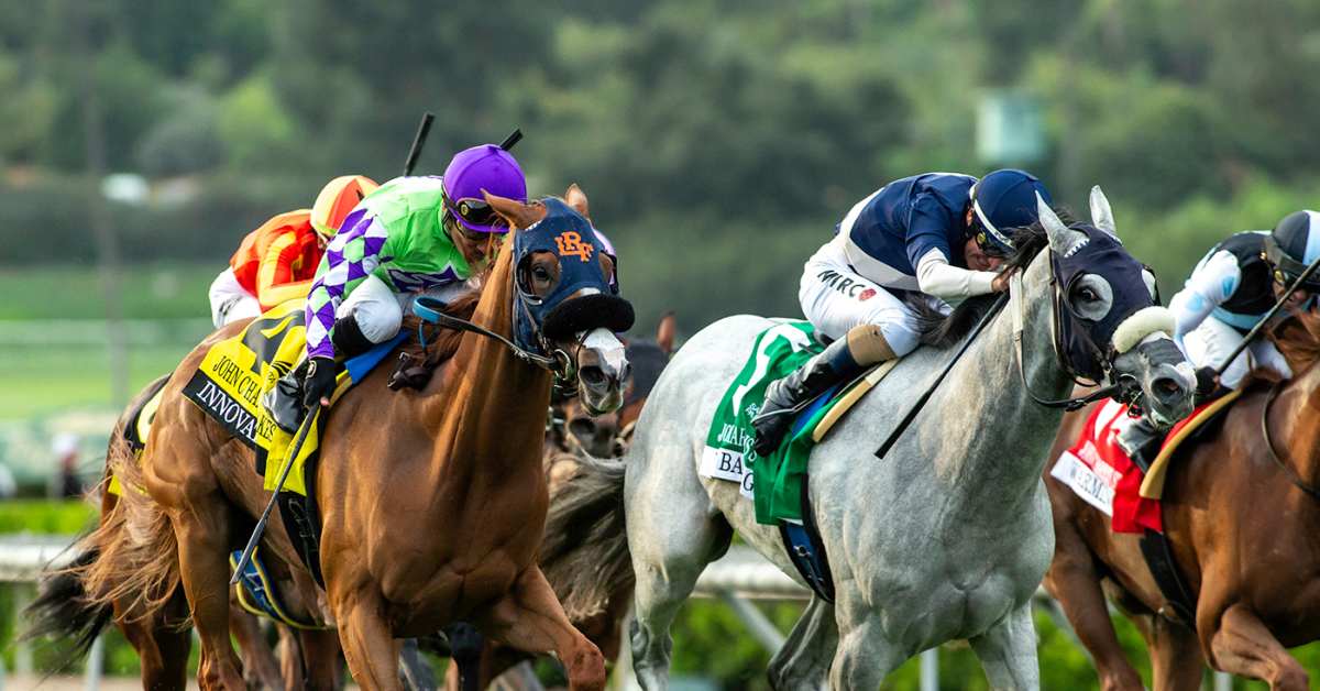 Innovative Flies Late To Win John C. Harris Stakes At Santa Anita ...