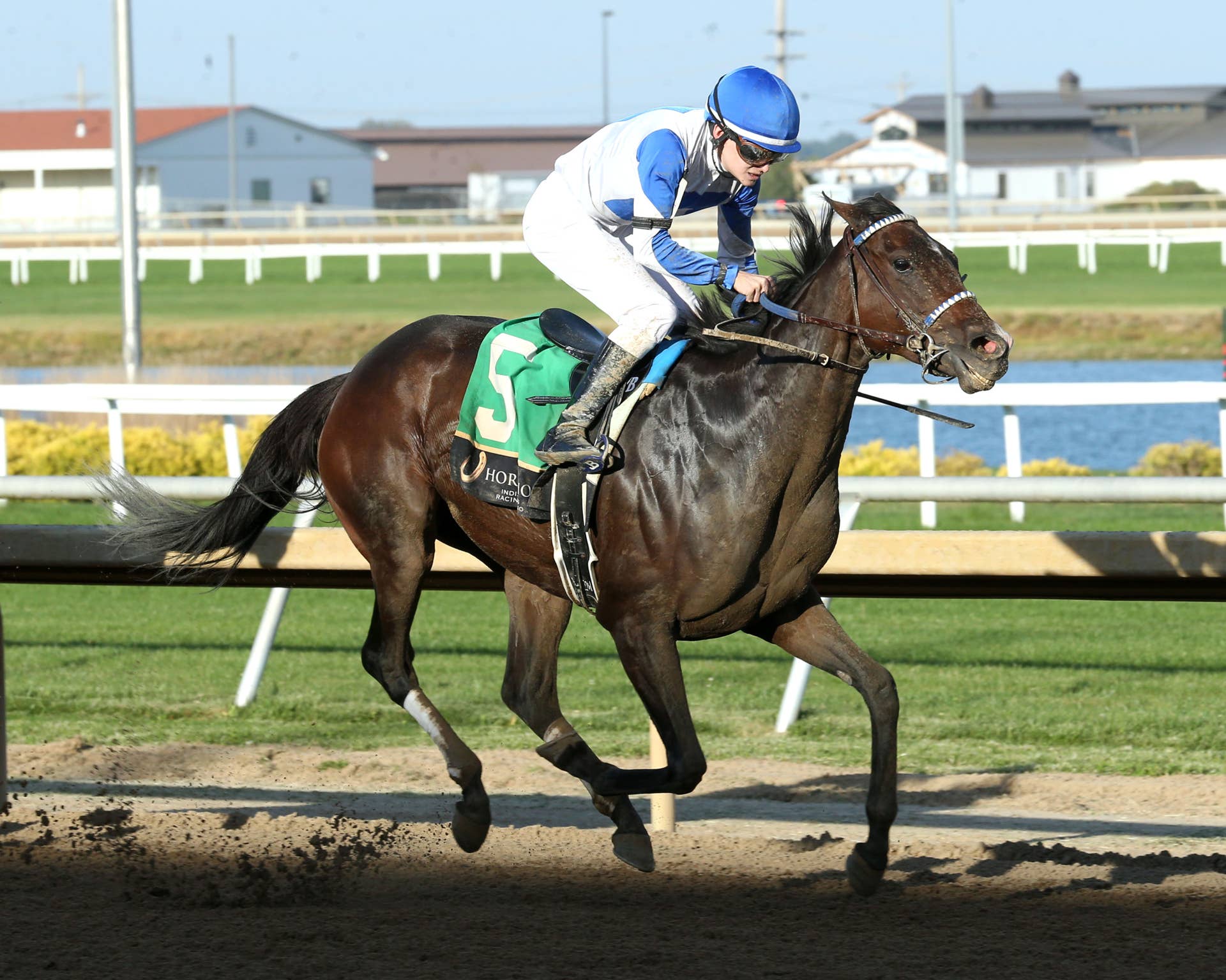 'Dream Come True': Corningstone Becomes Richest Indiana-Bred Mare With ...