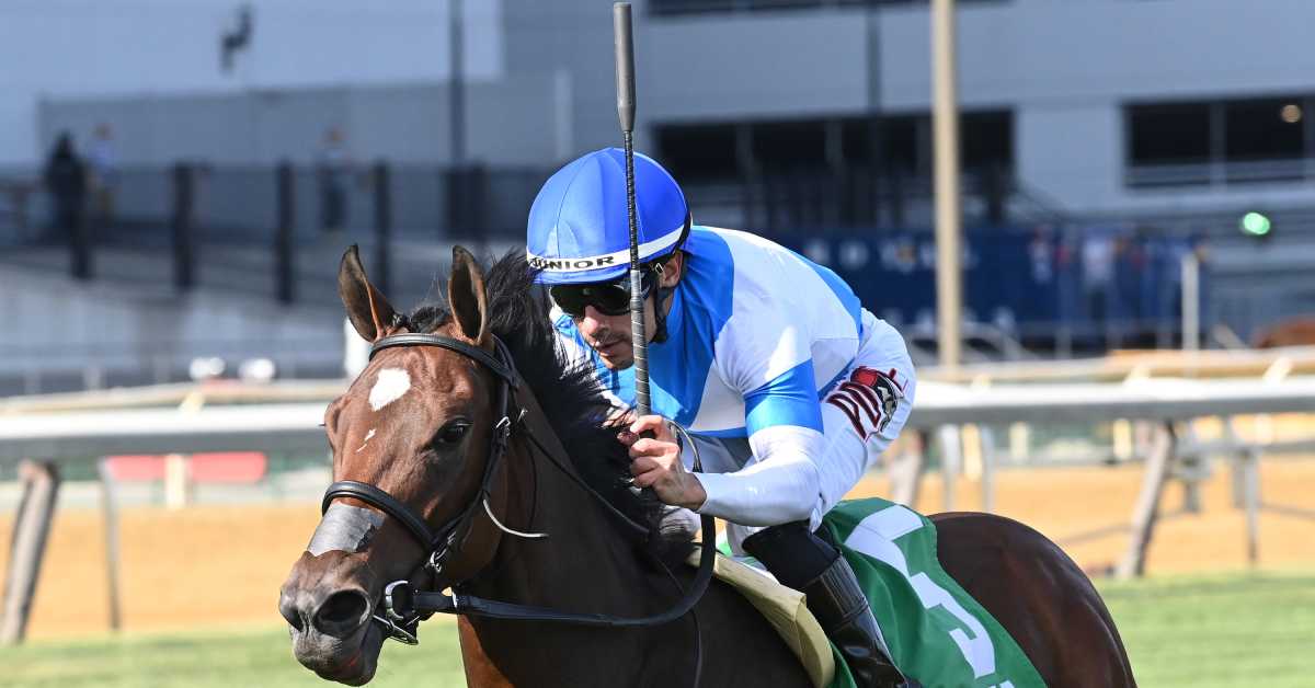 Final Accord Shows 'A Lot Of Upside' In Late-Running Matron Victory ...