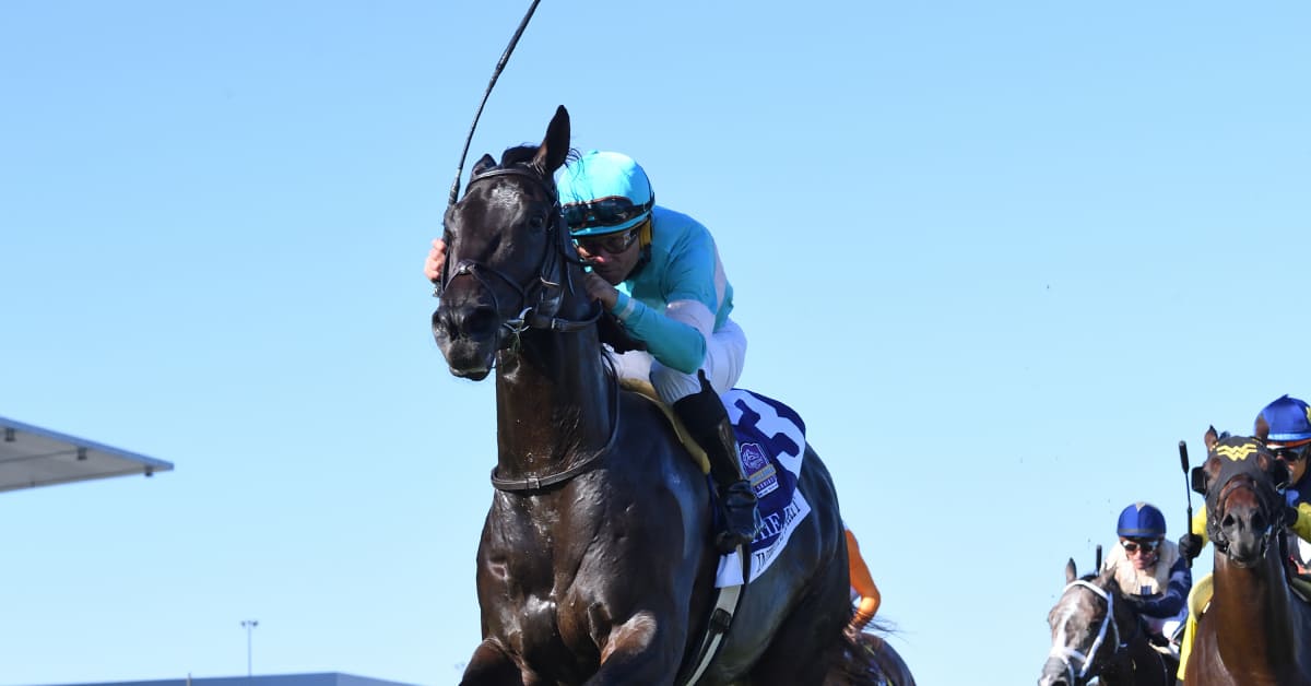 Intricate Spirit Shows Versatility In 'Win And You're In' Futurity ...