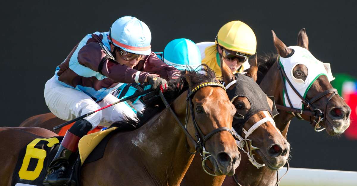 No Nay Hudson Strikes For First Stakes Victory In Woodbine's Nearctic ...