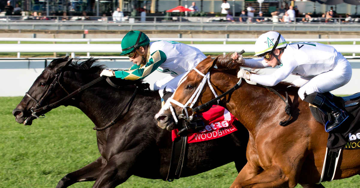 Breath Away Fires From Last, Denies Favorite Caitlinhergrtness In Dance Smartly - Paulick Report ...