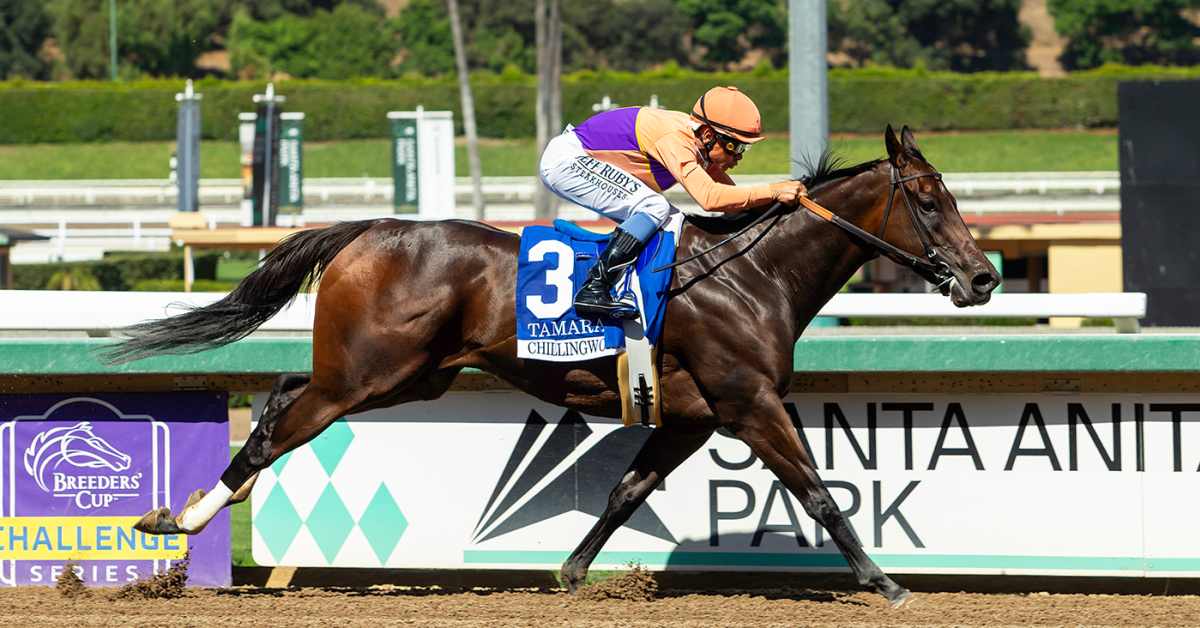 'Oh My, She's Back': Tamara Returns A Winner in Santa Anita's ...