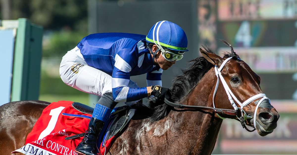 Breeders’ Cup Juvenile Turf Runner-Up Stark Contrast Leads Eddie Logan ...