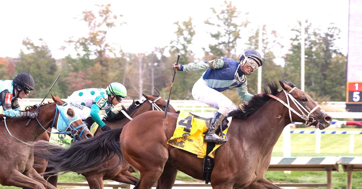 Undefeated Big Cuddle Takes On Balboa In James F. Lewis III Stakes ...