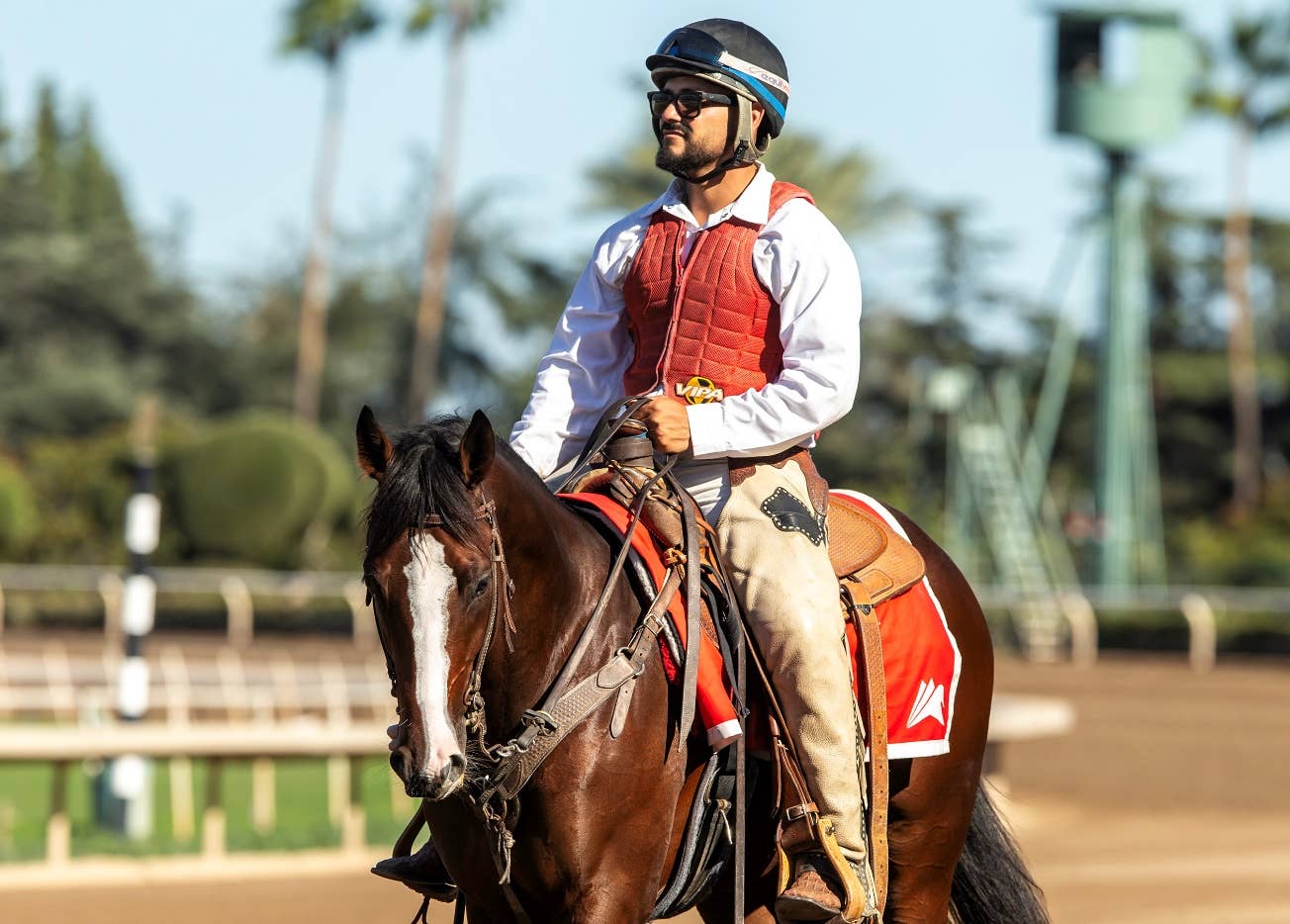 ‘He's Pretty Sharp’: Full-Brother To Annapolis Now A Lead Pony At Santa ...