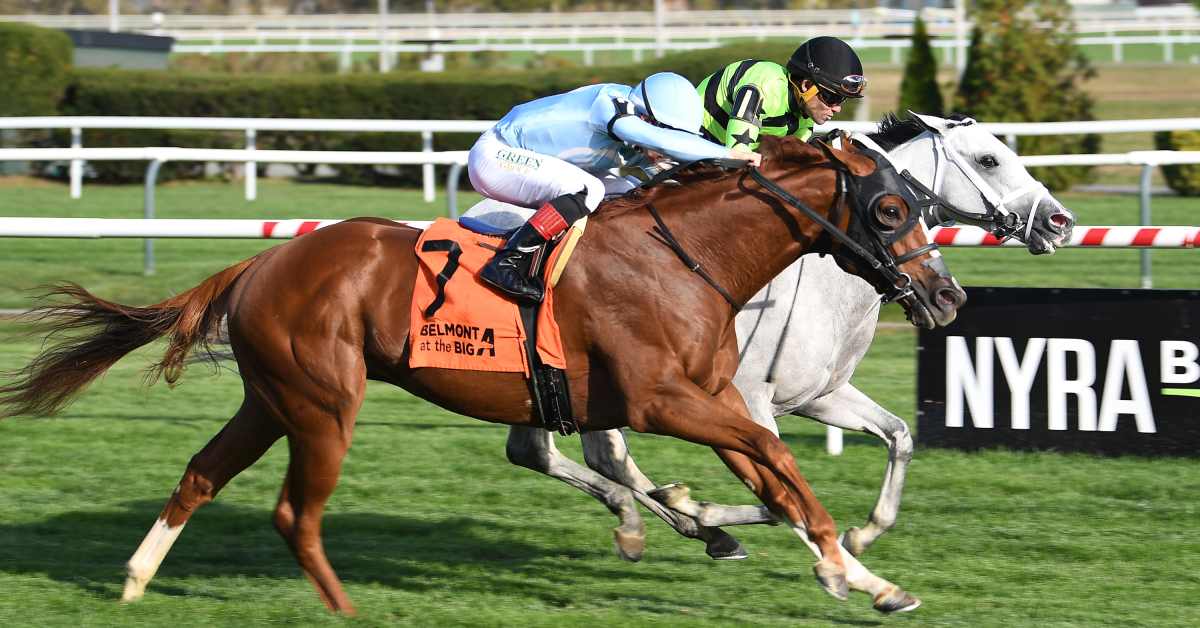 Out On Bail Takes Carle Place By Slimmest Of Margins - Paulick Report ...