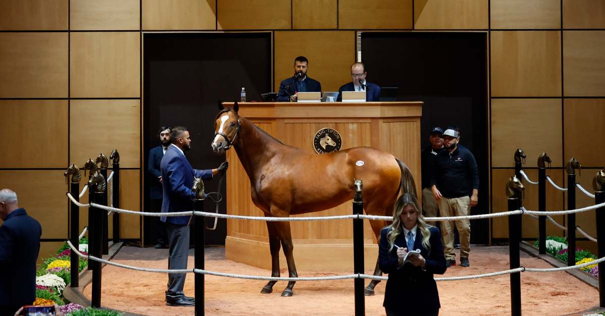 Colts By Life Is Good, Into Mischief Top Second Session Of Fasig-Tipton ...