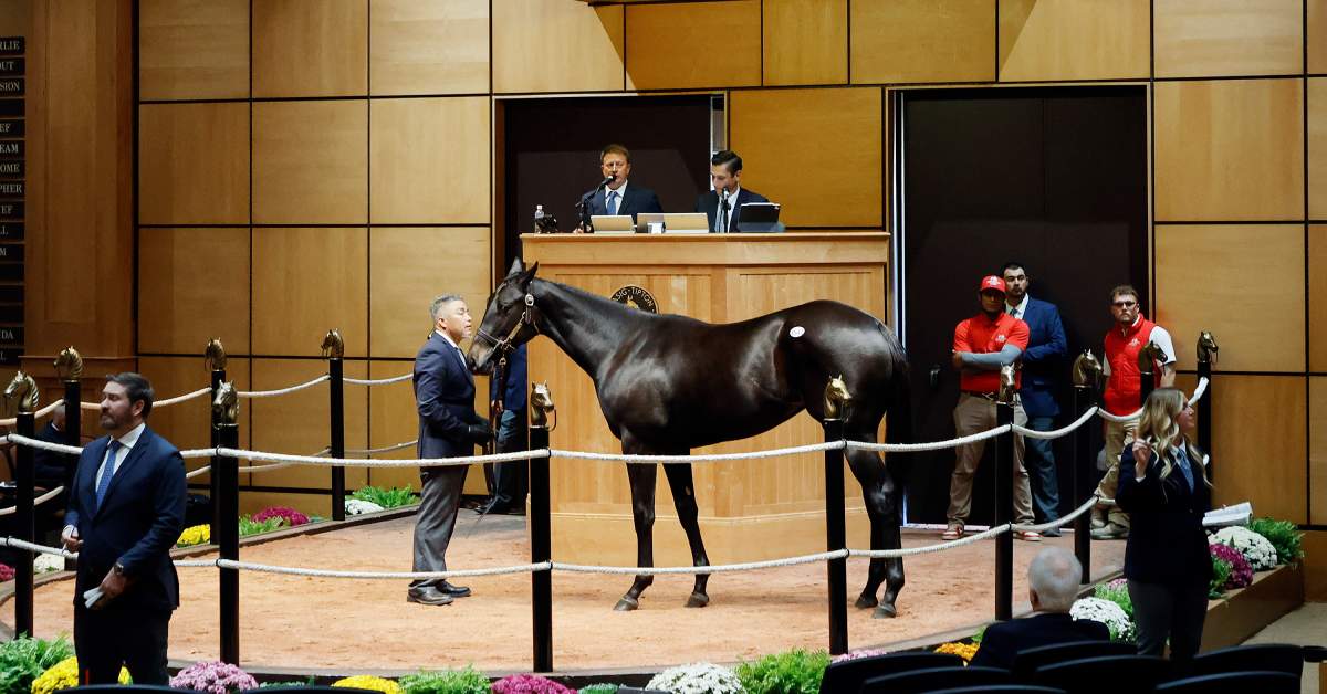 Historic Renewal Of Fasig-Tipton Kentucky October Yearlings Sale ...