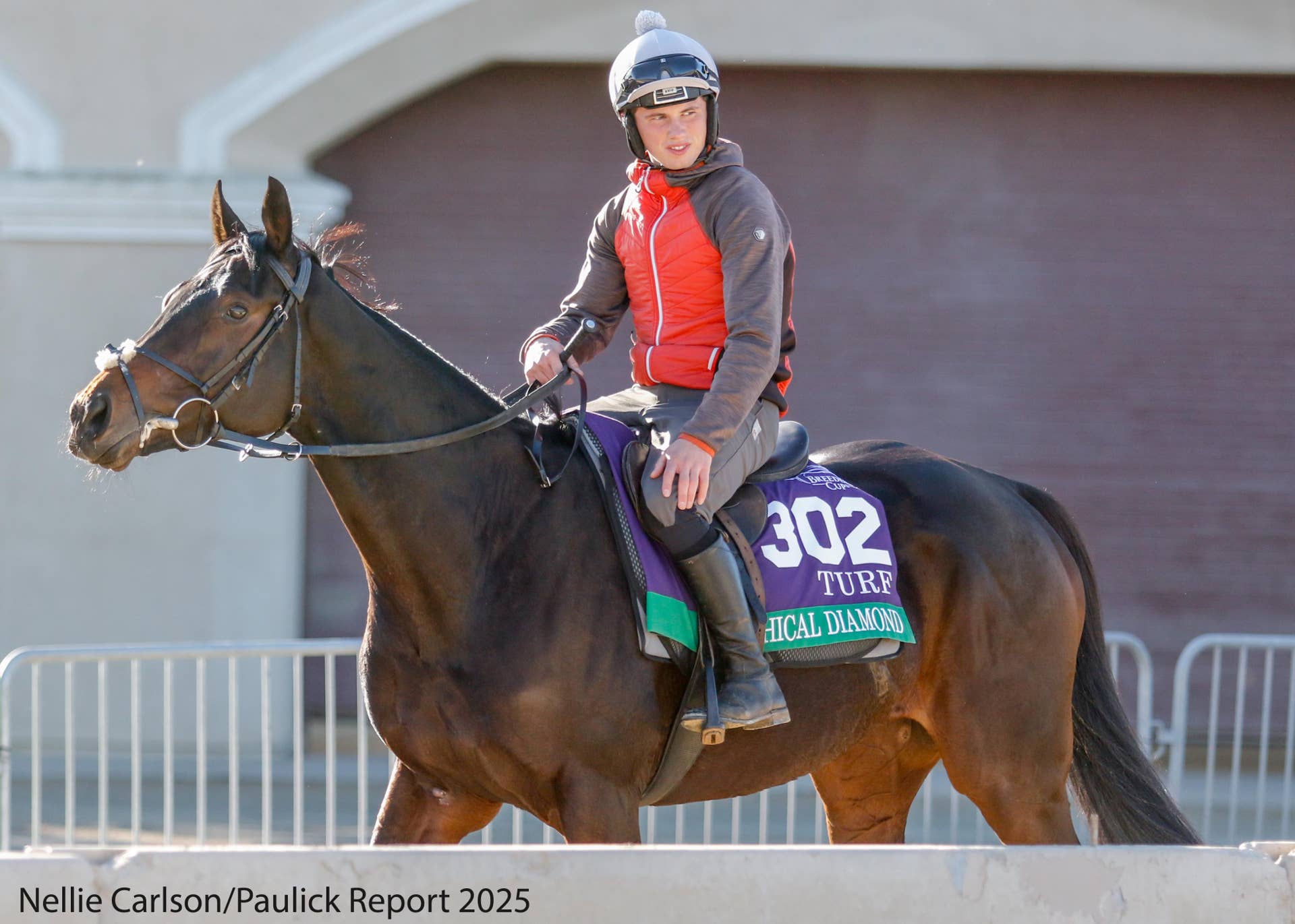 Jump On It: Irish Steeplechase Winner Takes On Breeders’ Cup Turf ...