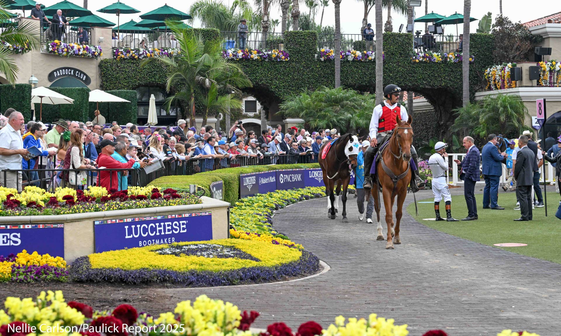 HIWU Clears Race Day Samples From 2025 Breeders’ Cup World ...