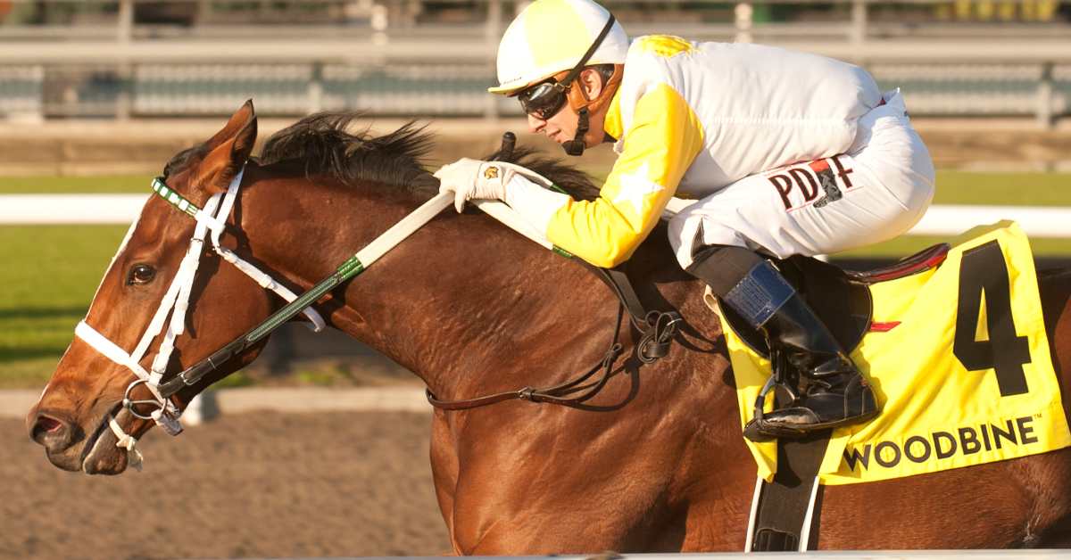 Juveniles Take Center Stage In Woodbine’s Coronation Futurity, Princess ...