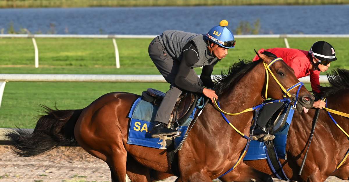 Skippylongstocking Back On Work Tab; Pegasus World Cup Among Potential ...