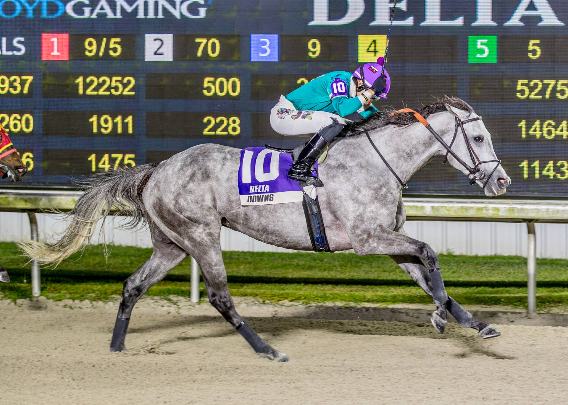 Louisiana-Bred Stakes Racing Leads Opening Week Action At Fair Grounds ...