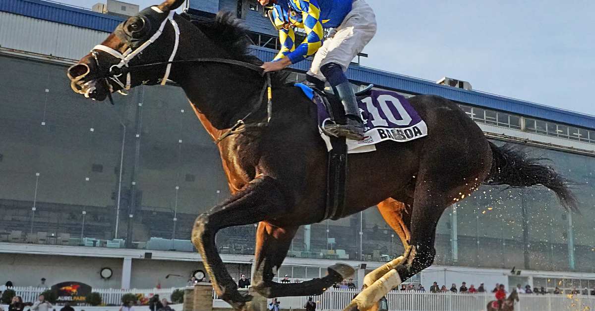 'Waters Continue To Get Deeper': Balboa To Bid For Kentucky Derby ...