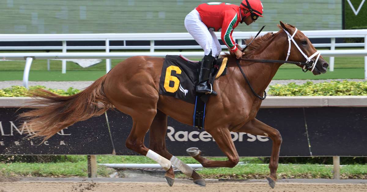 Prost To Challenge Stablemate Khozalite In FSS In Reality At Gulfstream Park - Paulick Report ...