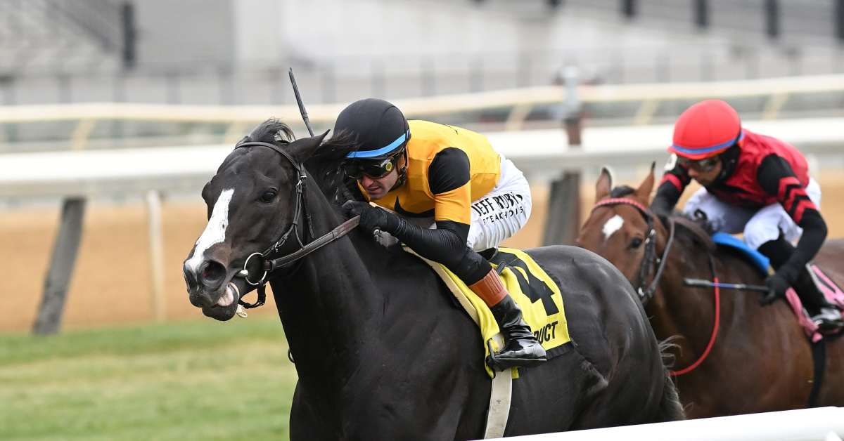 'Fun Horse' Ohana Honor Rolls To First Stakes Victory In Knickerbocker ...