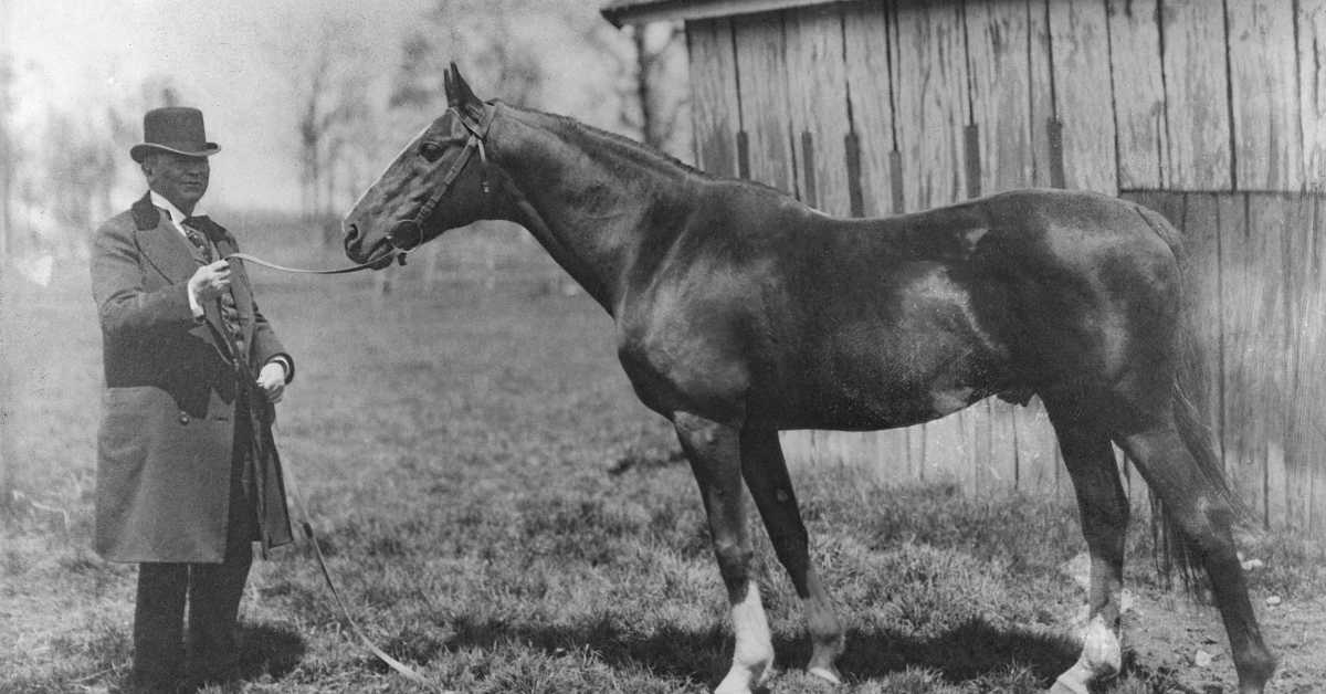 Lest We Forget: Before Secretariat, Hanover Was The Original ...